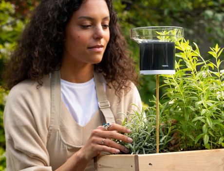 Smart Rain Gauge | Netatmo