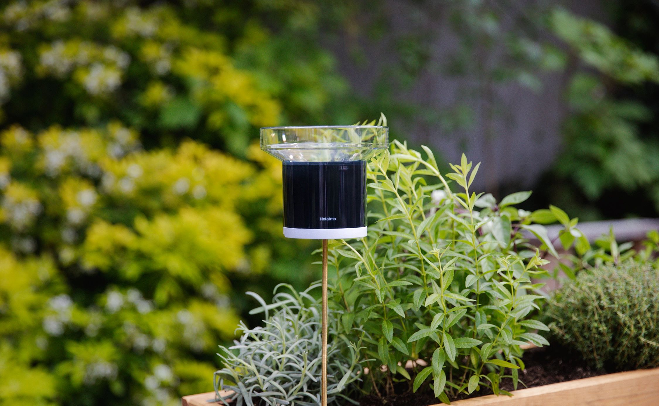 Smart Home Weather Station | Netatmo