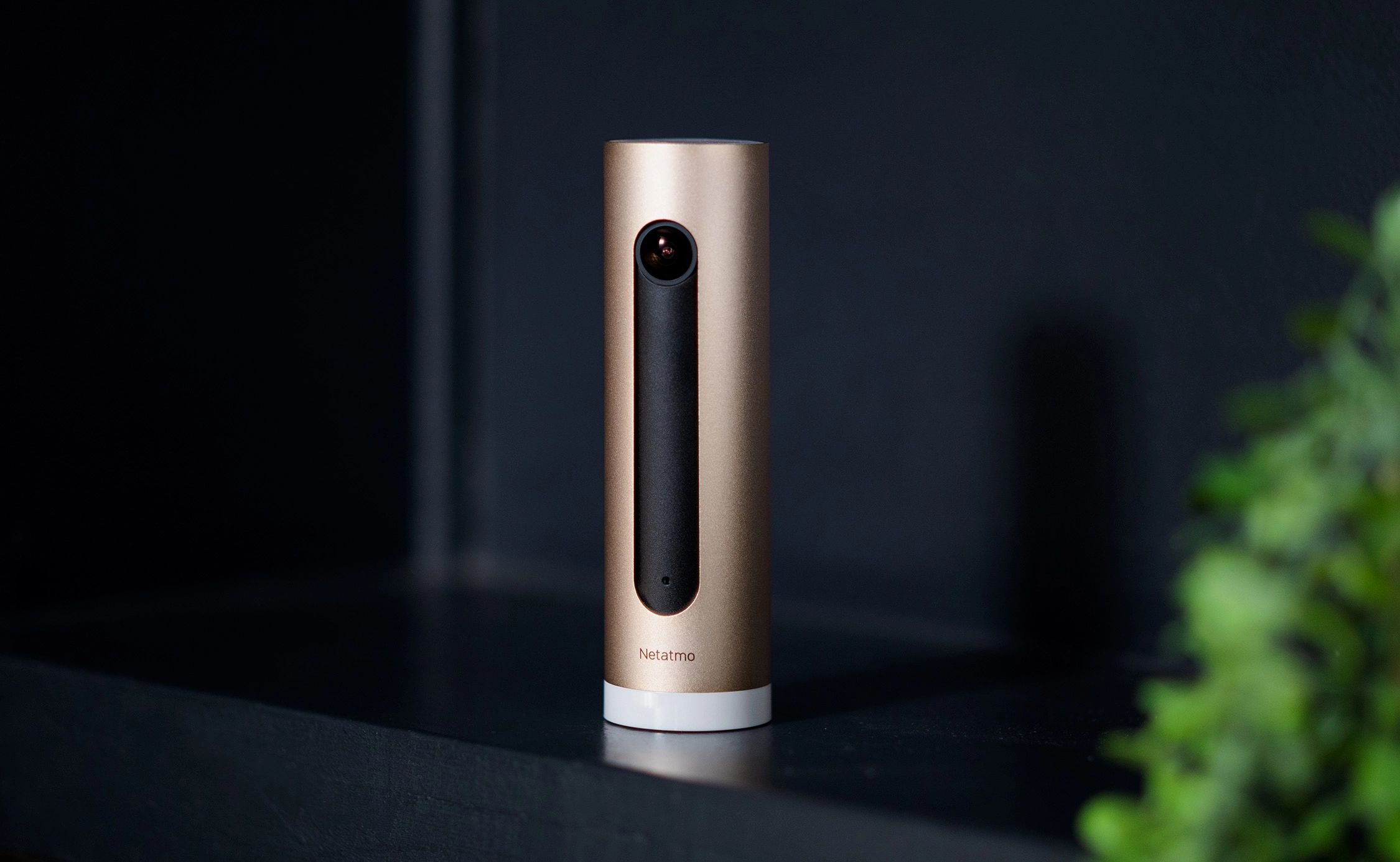 Smart Door and Window Sensors | Netatmo