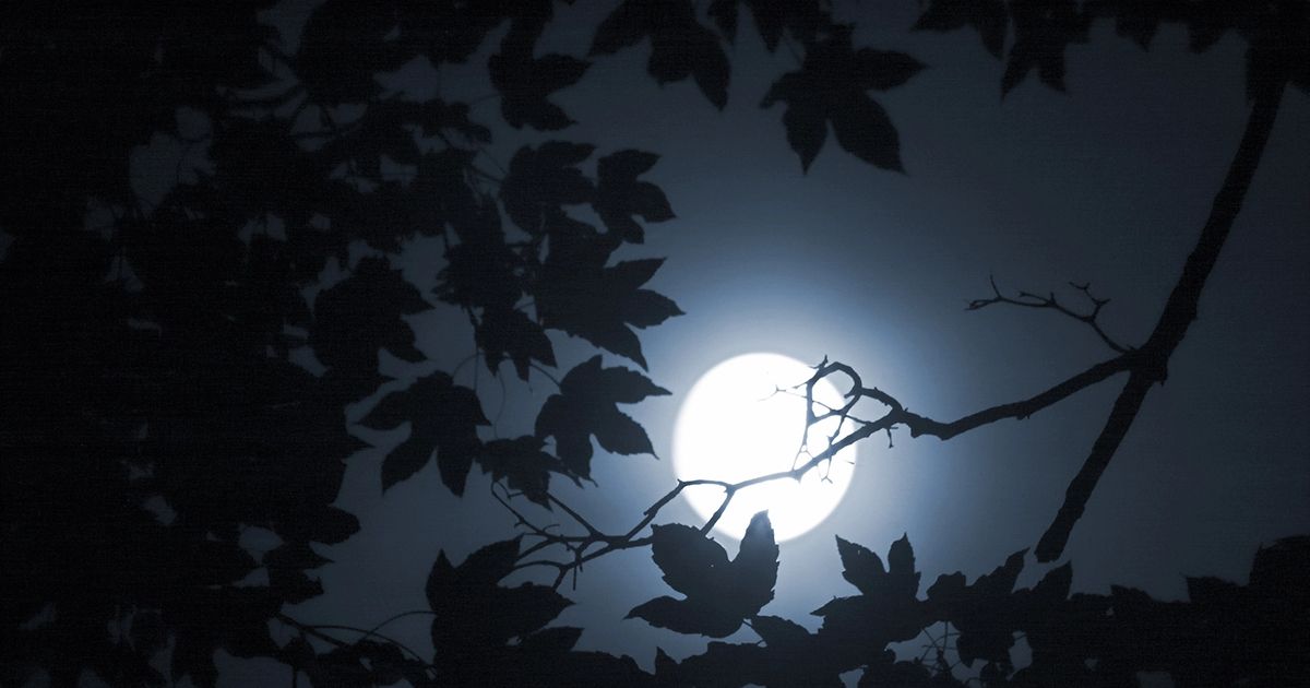 What is a moon phase weather station?