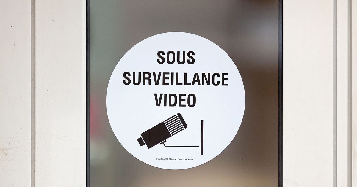 Alarm stickers: can putting security system signs in your garden ...