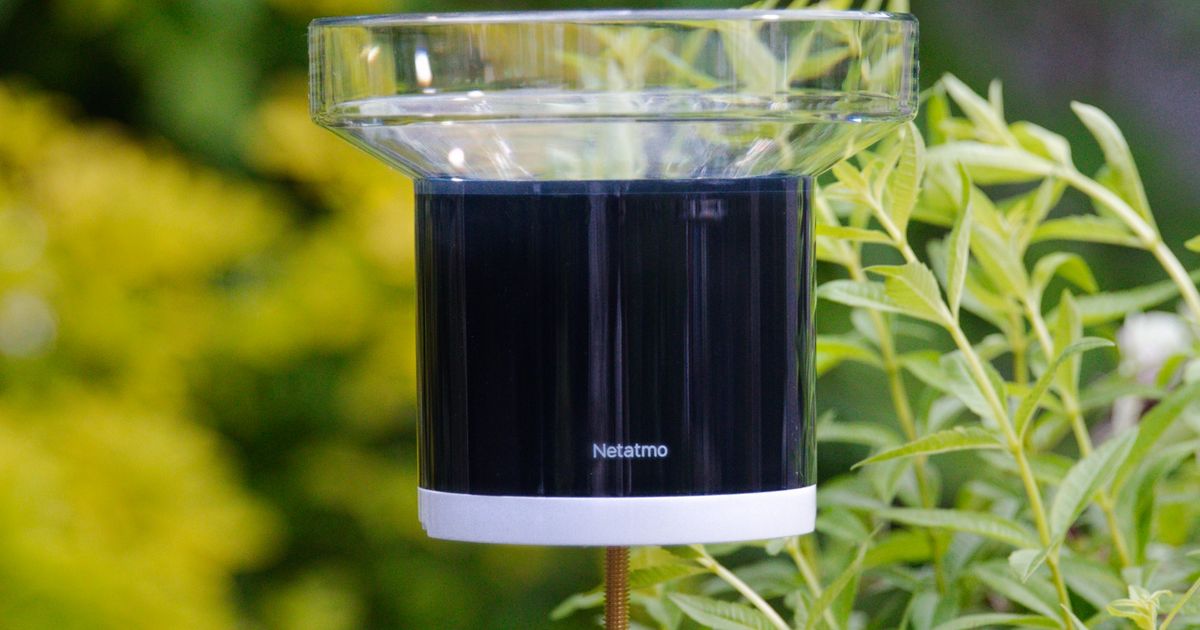 Pluviomètre Connecté | Netatmo