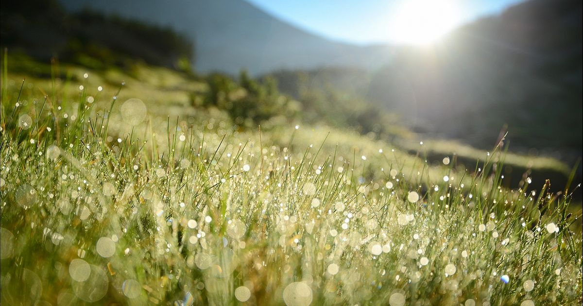 ¿Qué es el “punto de rocío”?